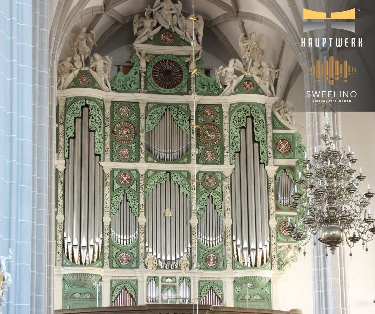 Sample sets | Hauptwerk | Content Organs