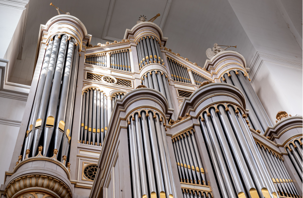 About our digital organs | Content Organs