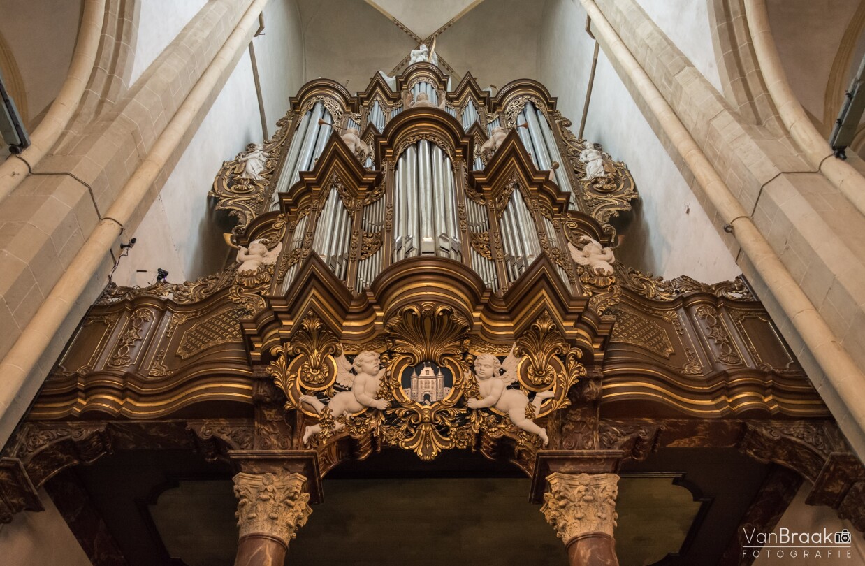 About us | Content Organs