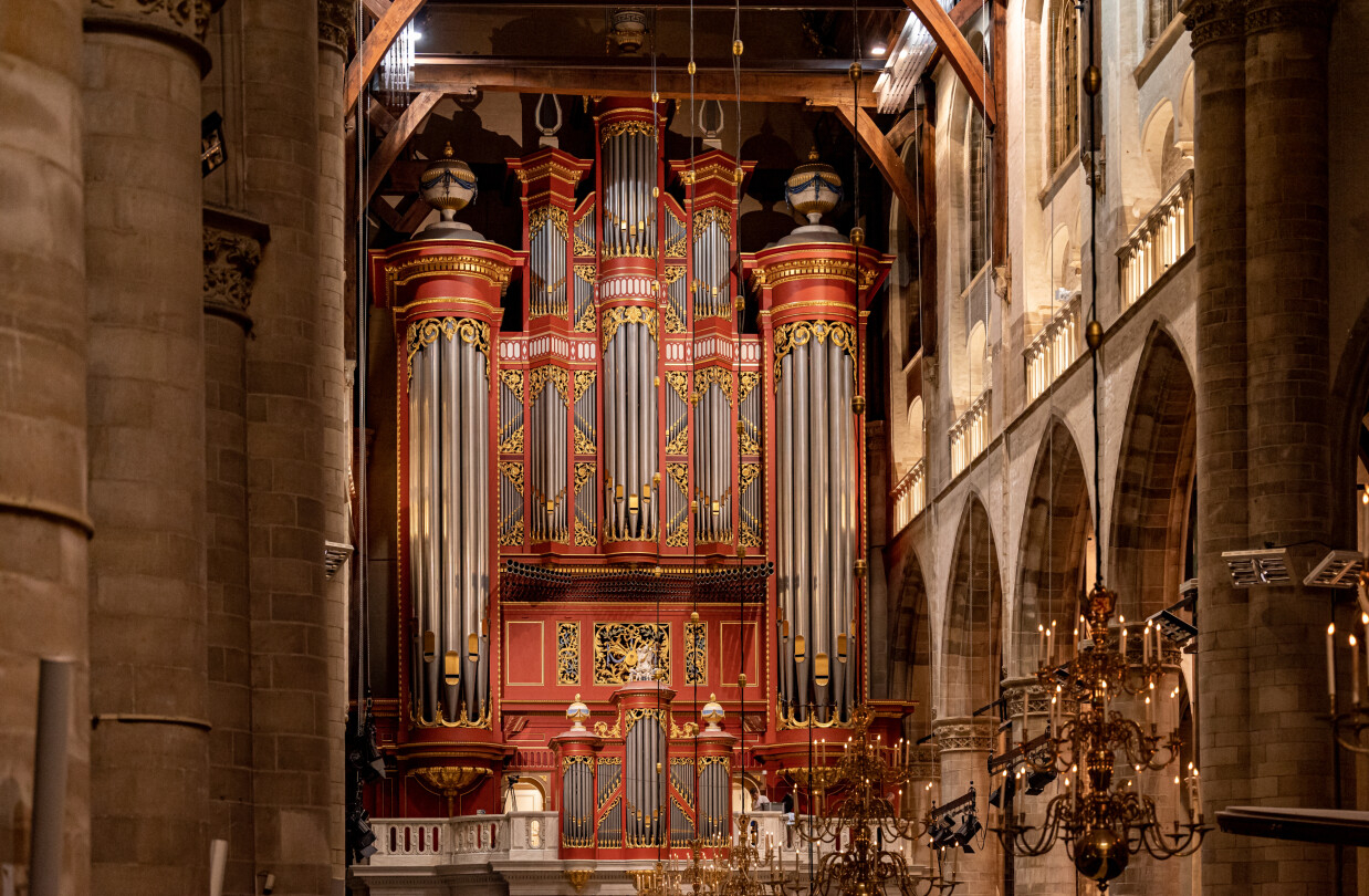 About us | Content Organs