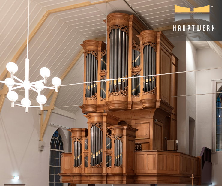 Sample sets | Hauptwerk | Content Organs