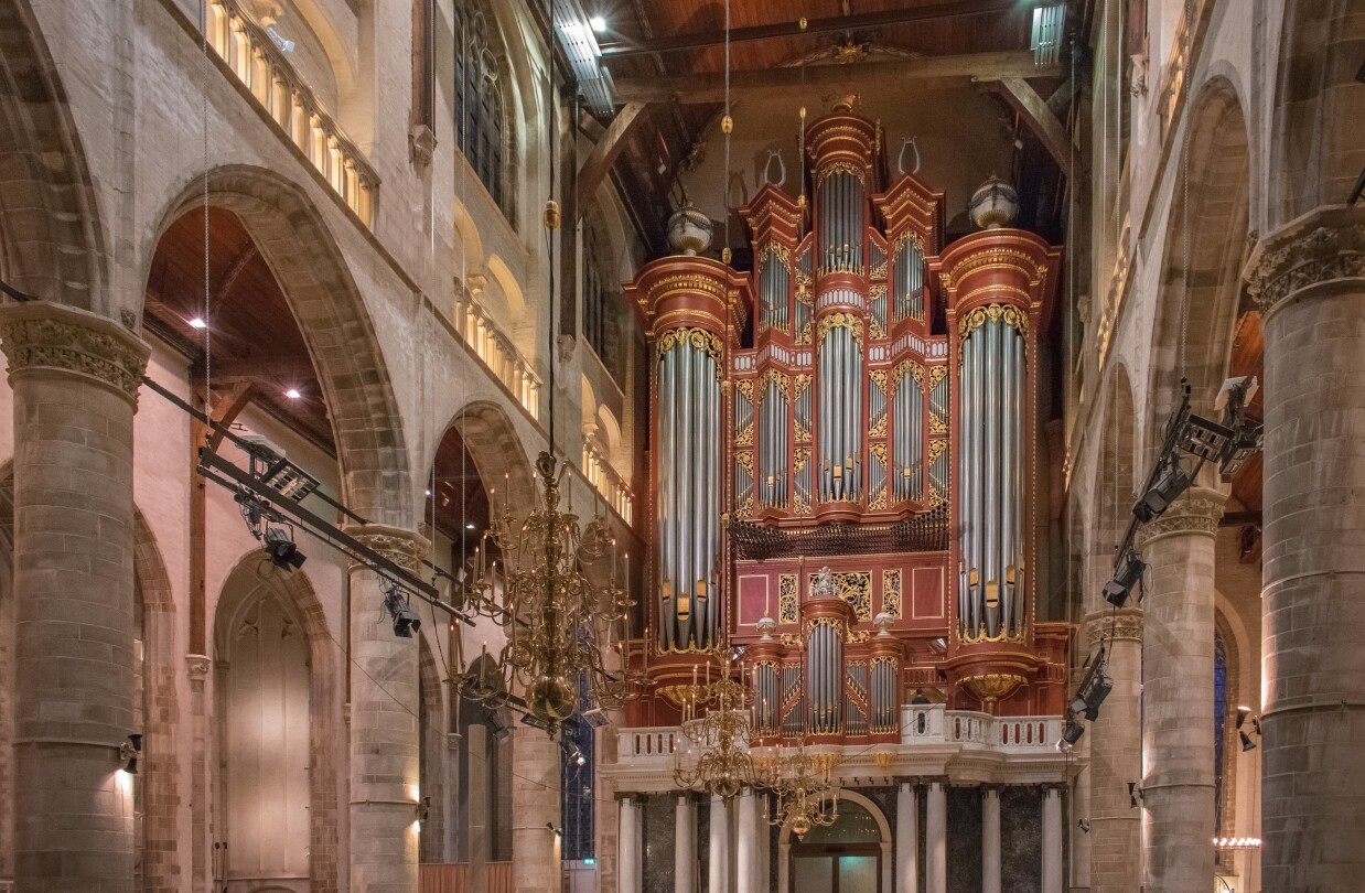 Sample sets | Hauptwerk | Content Organs