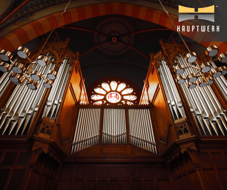 Sample sets | Hauptwerk | Content Organs