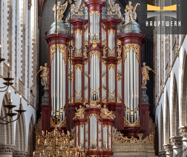 Sample sets | Hauptwerk | Content Organs